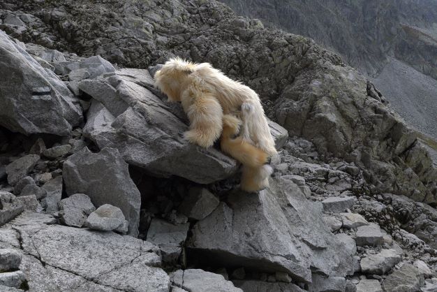 Excursion - Exhibition Launch & Talk - New Media Arts Archives at Watermans